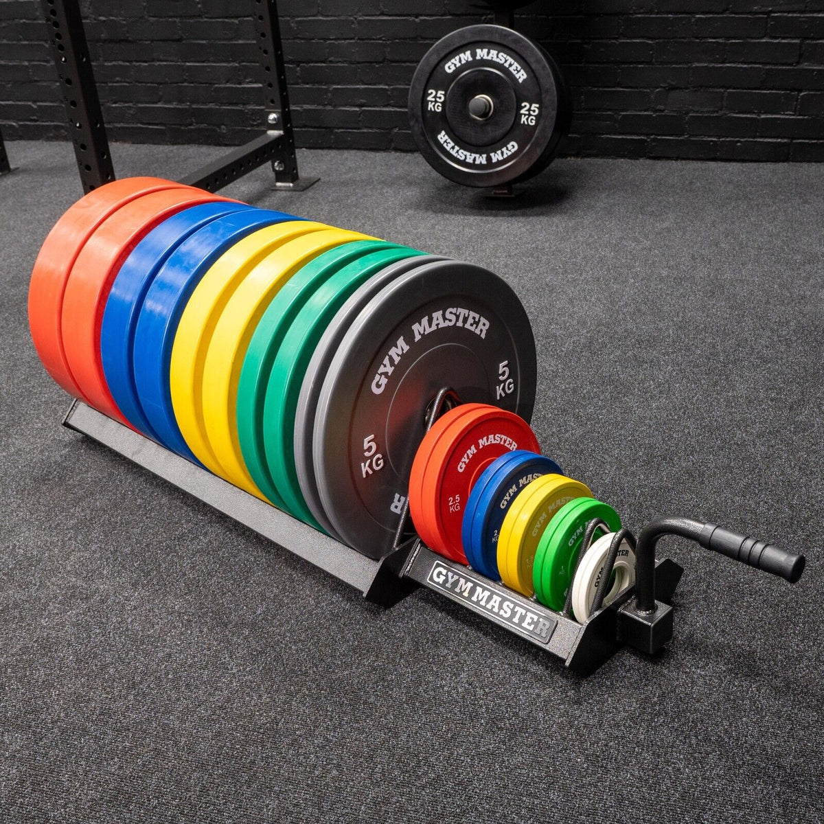 Free Weight Storage Rack - Portable Olympic Plate Disc Storage Rack ...